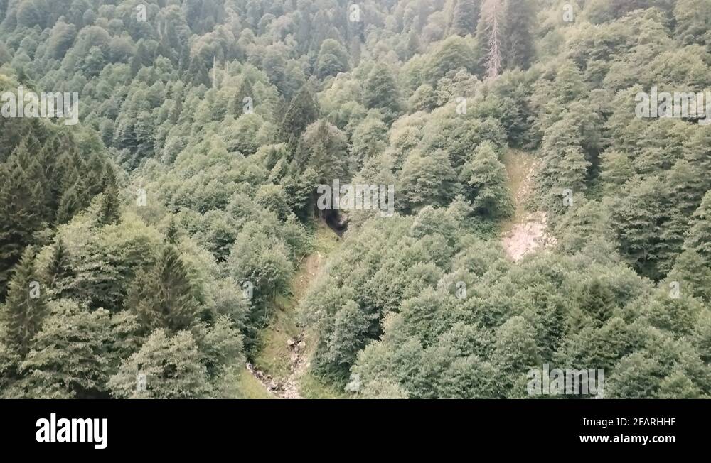 Forests turkey Stock Videos & Footage - HD and 4K Video Clips - Alamy