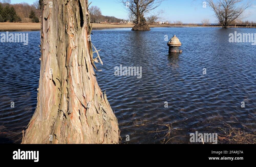 Sea water fire hydrant Stock Videos & Footage - HD and 4K Video Clips ...