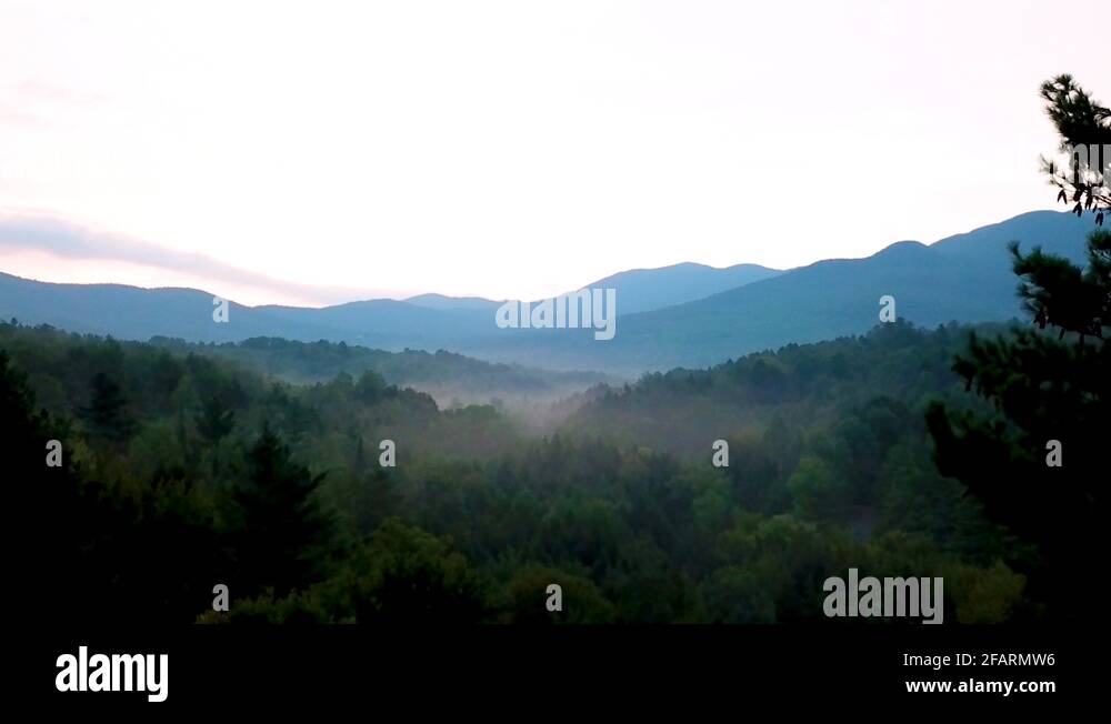 Evergreen trees in vermont Stock Videos & Footage - HD and 4K Video ...