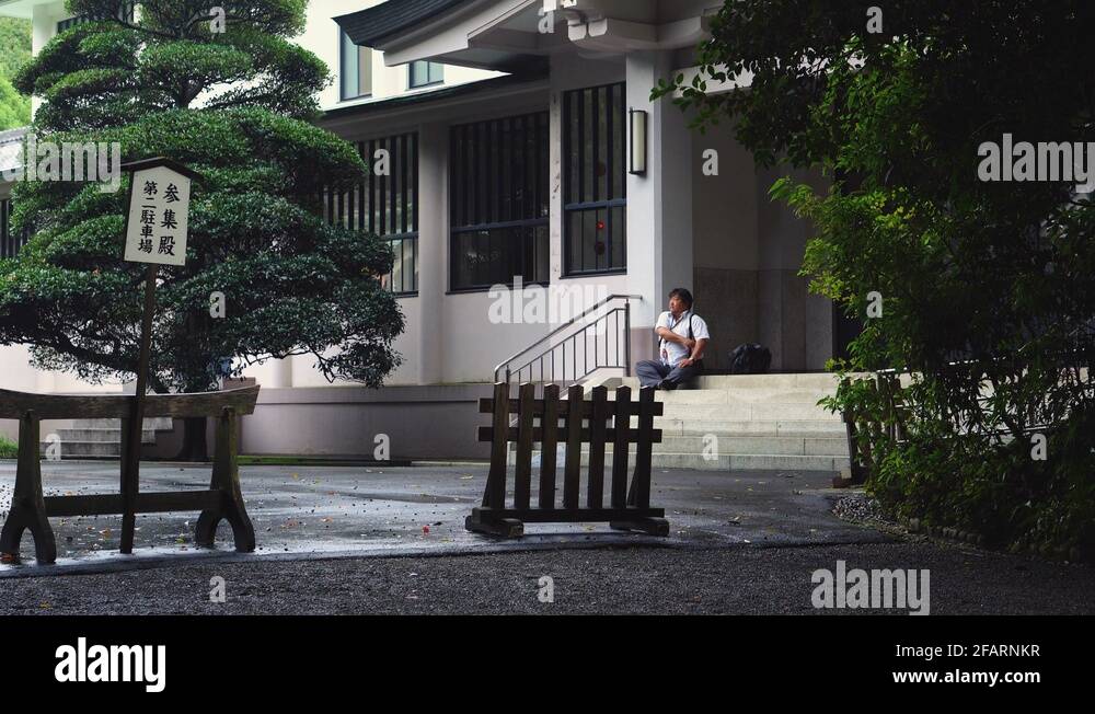 Fighting insects Stock Videos & Footage - HD and 4K Video Clips - Alamy