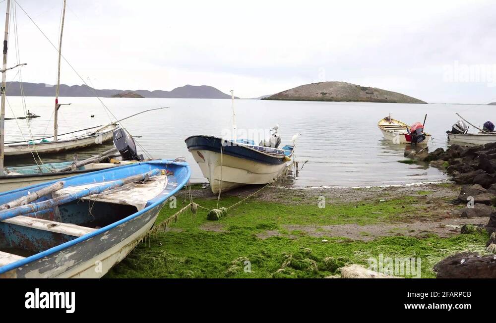 Seaweed boats Stock Videos & Footage - HD and 4K Video Clips - Alamy