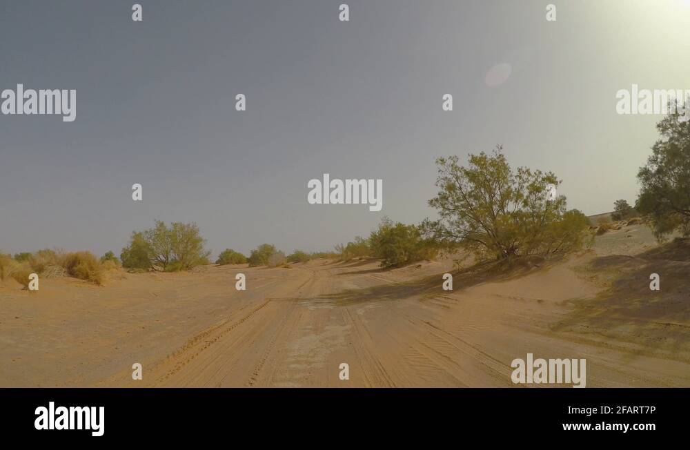 Camera car in the sahara desert driver pov Stock Video Footage - Alamy