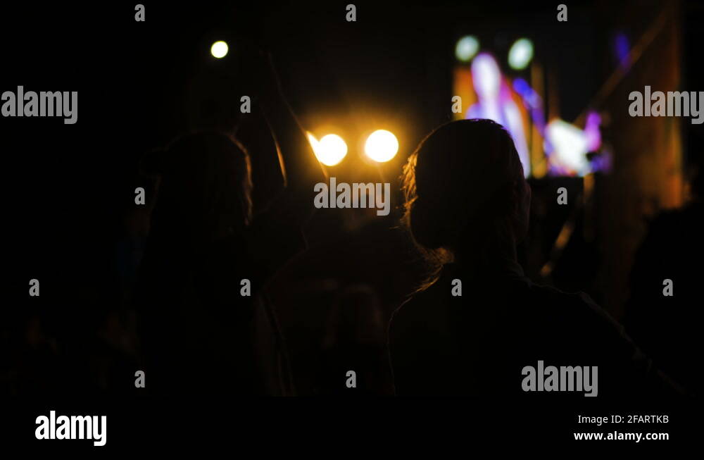 Clapping silhouette stage Stock Videos & Footage - HD and 4K Video ...