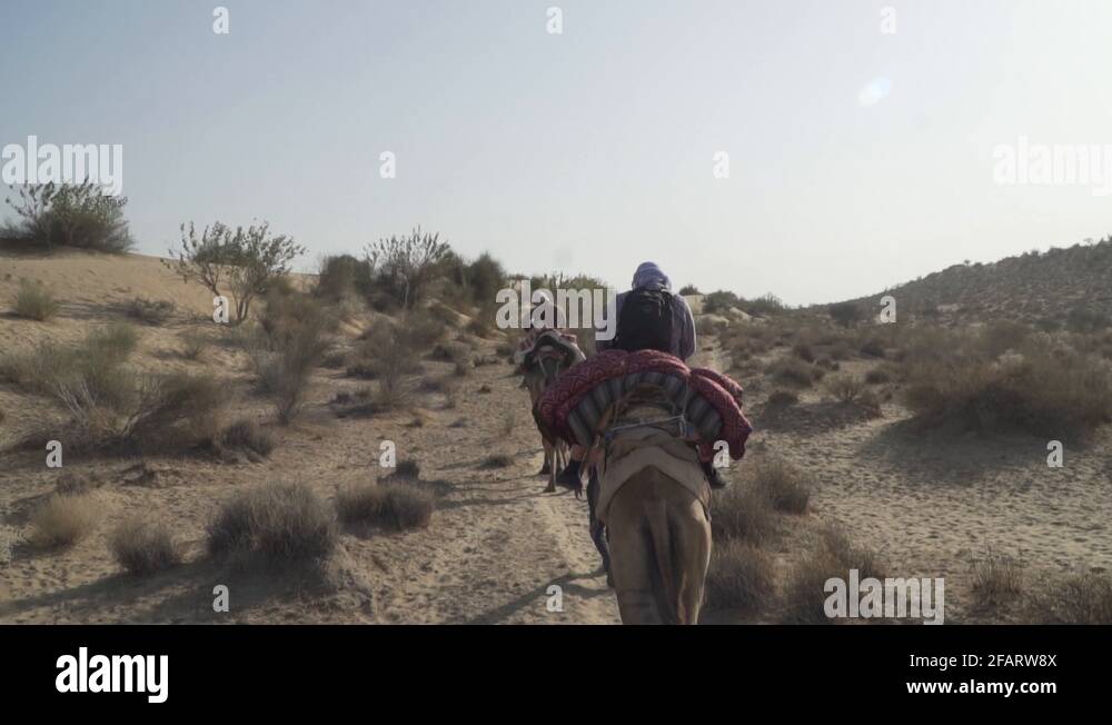 Man riding camel in the desert Stock Videos & Footage - HD and 4K Video ...