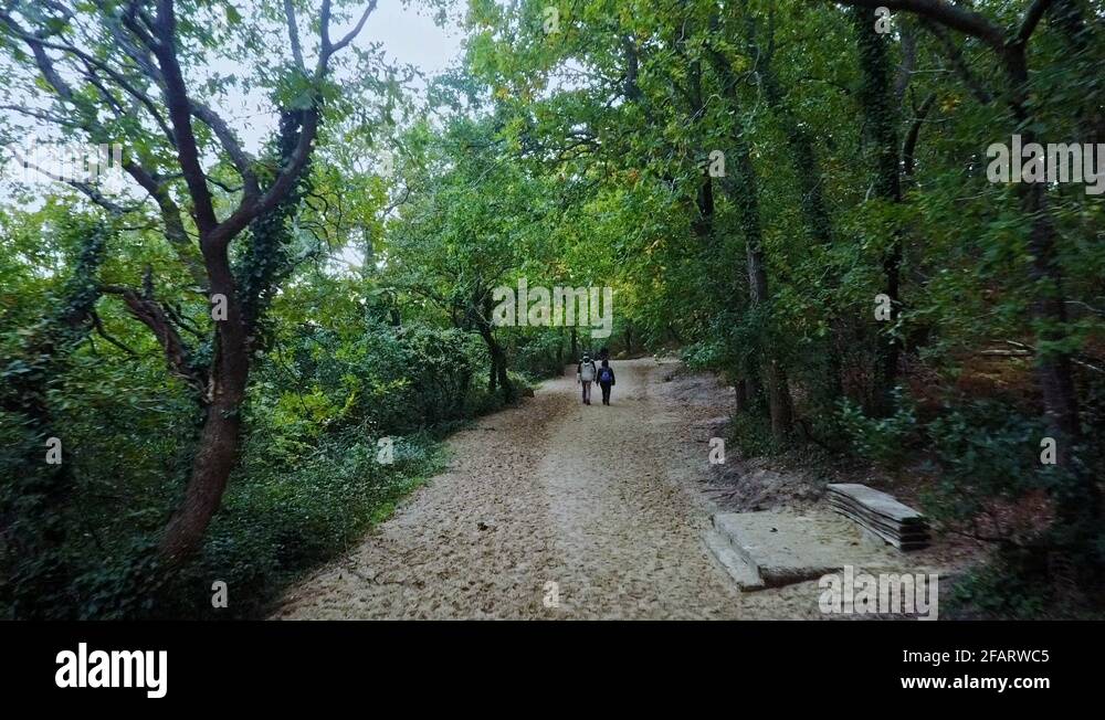 People walking in sand Stock Videos & Footage - HD and 4K Video Clips ...