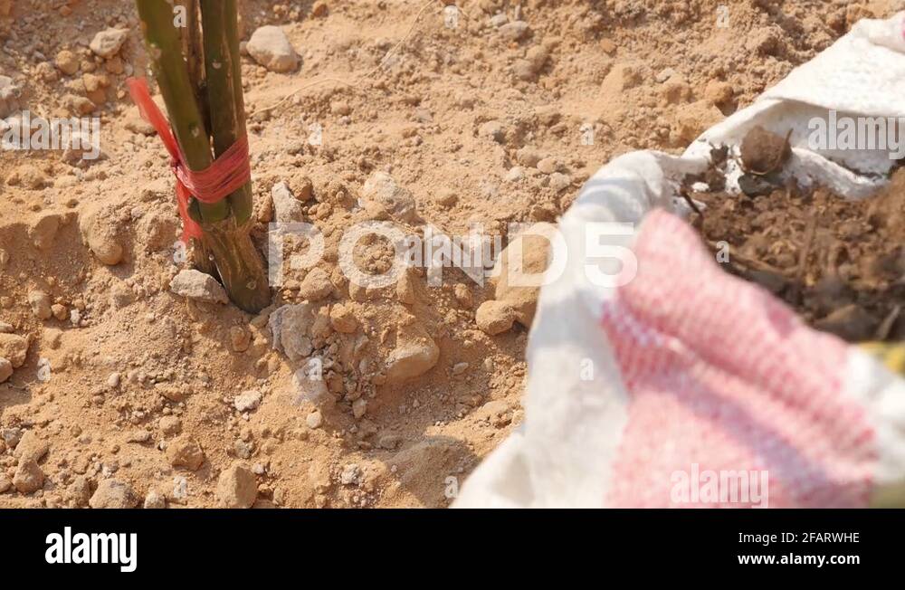 Farmer compost Stock Videos & Footage - HD and 4K Video Clips - Alamy