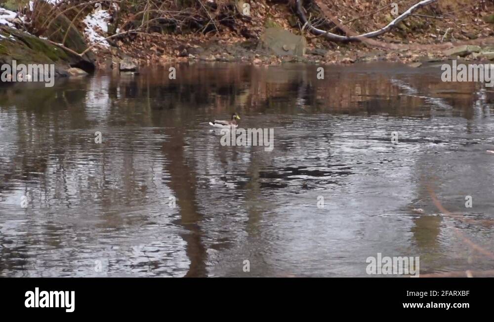 Floating a creek Stock Videos & Footage - HD and 4K Video Clips - Alamy