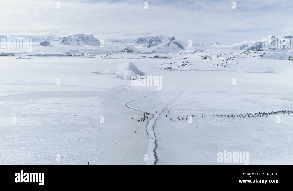 Trace group Stock Videos & Footage - HD and 4K Video Clips - Alamy