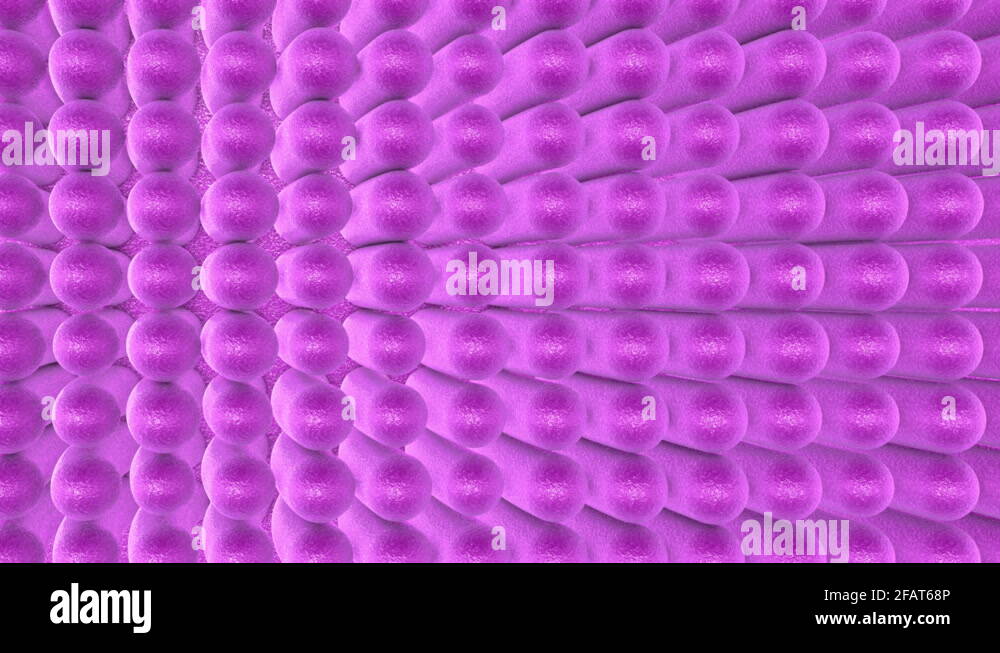 Cell surface membrane Stock Videos & Footage - HD and 4K Video Clips ...