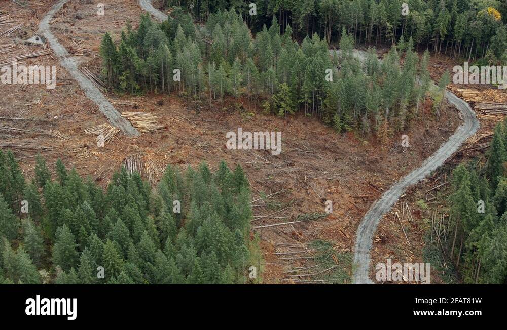 Usa deforestation Stock Videos & Footage - HD and 4K Video Clips - Alamy