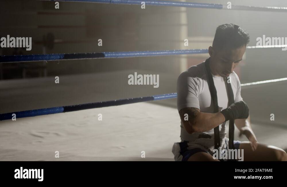 Boxing bout fight Stock Videos & Footage - HD and 4K Video Clips - Alamy