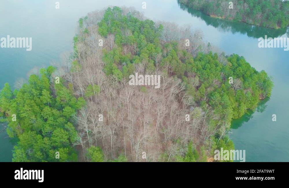 Forest overhead Stock Videos & Footage - HD and 4K Video Clips - Alamy