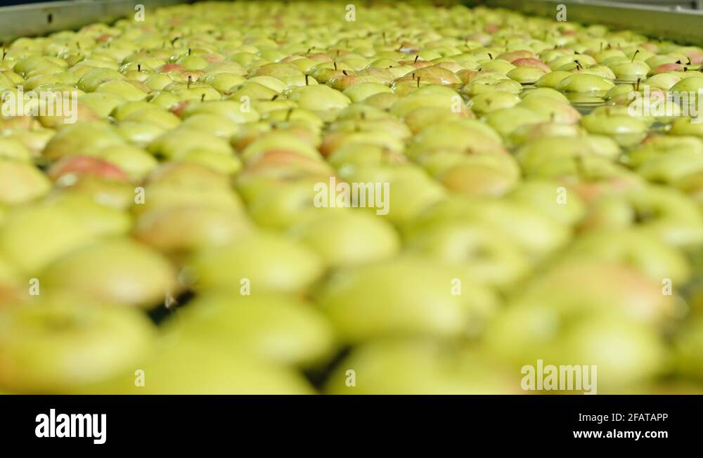 Washing apples in fruit processing factory - extreme close up Stock ...
