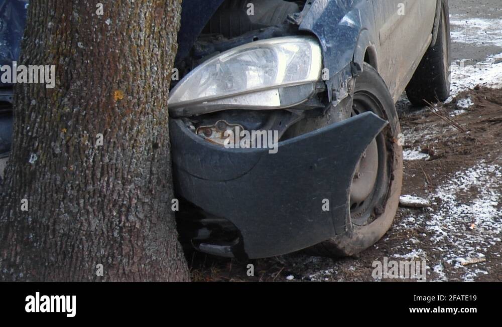Car accident tree Stock Videos & Footage - HD and 4K Video Clips - Alamy