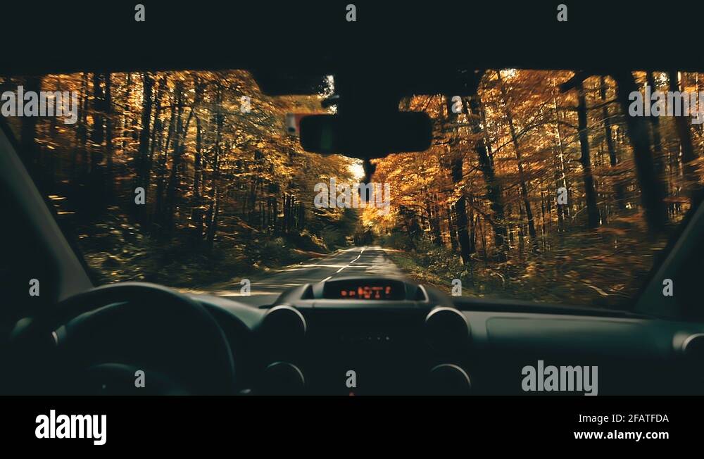 Beautiful fall drive Stock Videos & Footage - HD and 4K Video Clips - Alamy