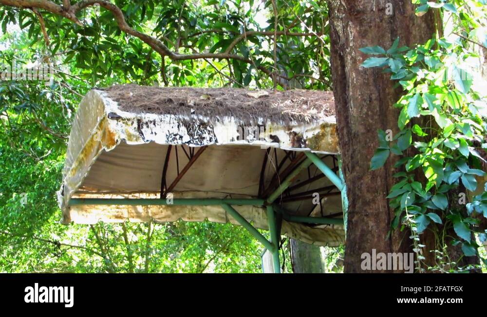 Waiting shed Stock Videos & Footage - HD and 4K Video Clips - Alamy