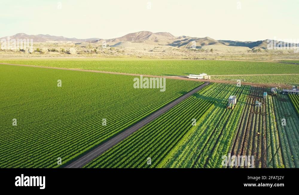 Colorado river indian tribe Stock Videos & Footage - HD and 4K Video ...