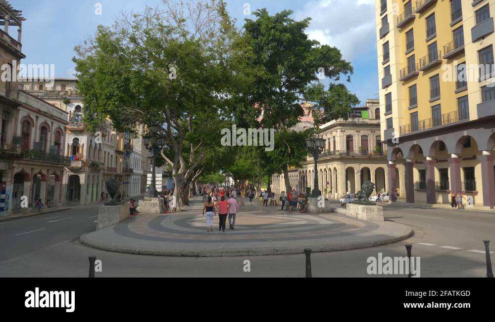 Parque prado Stock Videos & Footage - HD and 4K Video Clips - Alamy