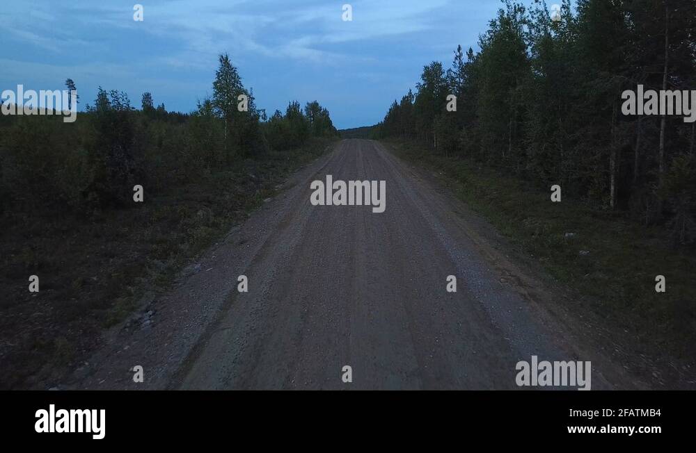 Fasting drivers point of view driving on gravel road in dusk, forest on ...