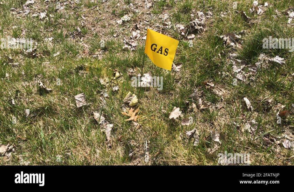 Gas project Stock Videos & Footage - HD and 4K Video Clips - Alamy