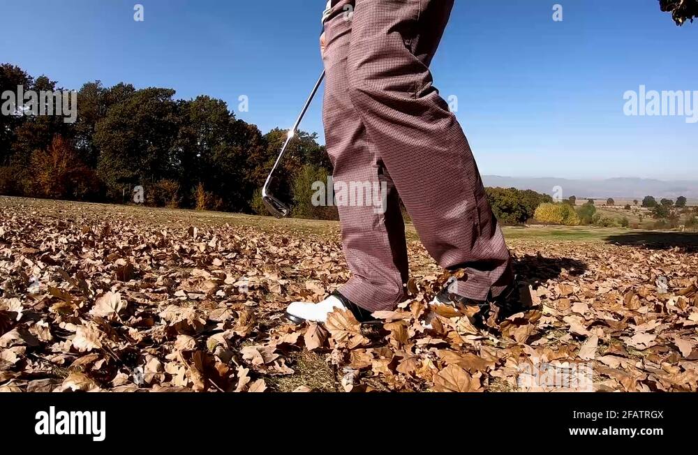Golf leaves Stock Videos & Footage - HD and 4K Video Clips - Alamy