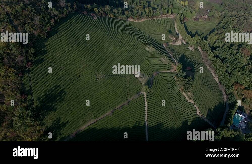 Sung light Stock Videos & Footage - HD and 4K Video Clips - Alamy