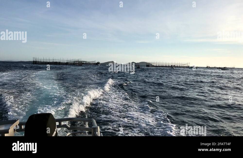 Ocean ranching Stock Videos & Footage - HD and 4K Video Clips - Alamy