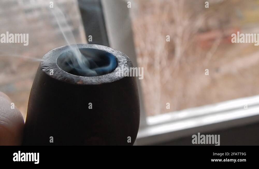 Real tobacco Stock Videos & Footage - HD and 4K Video Clips - Alamy