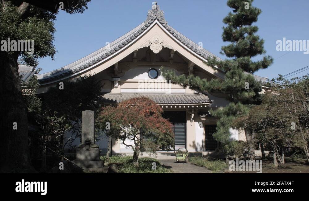 Ornate trees Stock Videos & Footage - HD and 4K Video Clips - Alamy