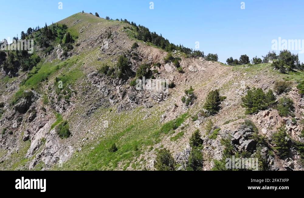 Pine trees on top mountain Stock Videos & Footage - HD and 4K Video ...