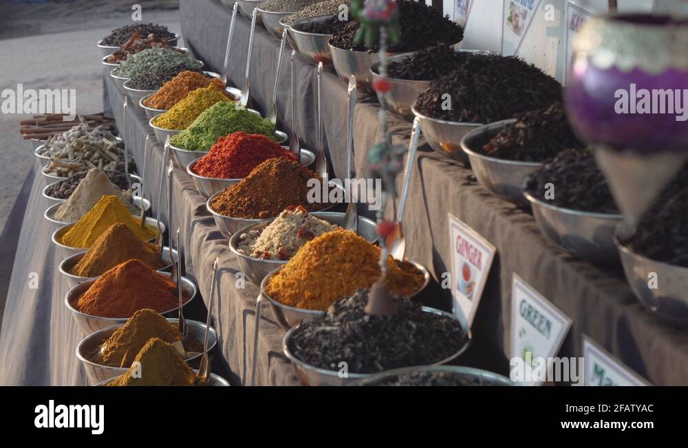 Diversity of india Stock Videos & Footage - HD and 4K Video Clips - Alamy