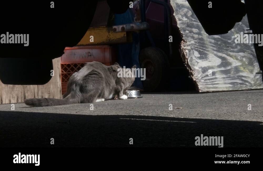 Under car view Stock Videos & Footage - HD and 4K Video Clips - Alamy