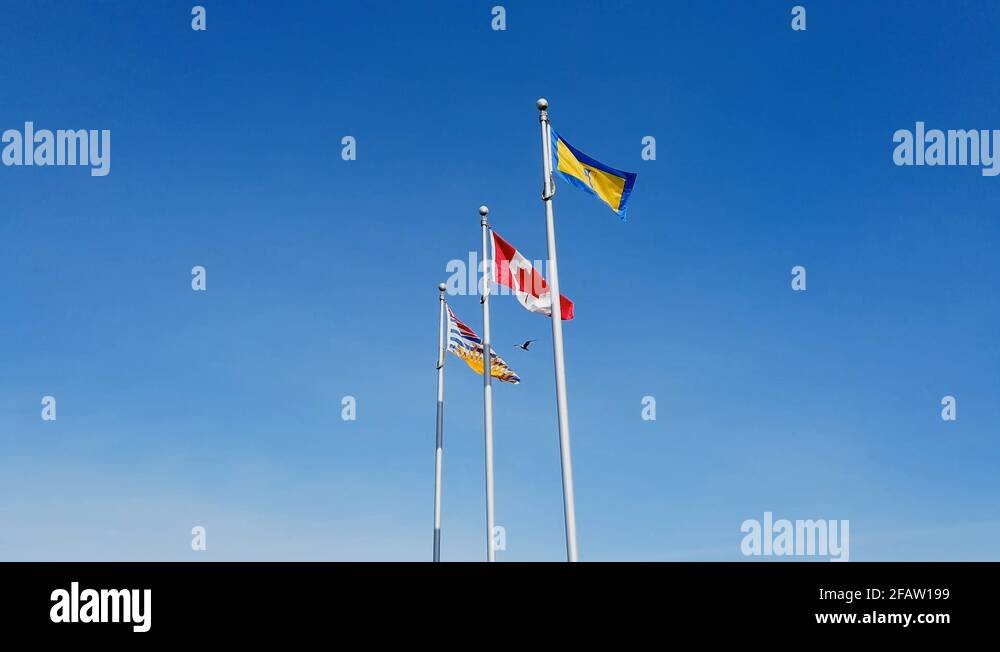 Richmond flag Stock Videos & Footage - HD and 4K Video Clips - Alamy