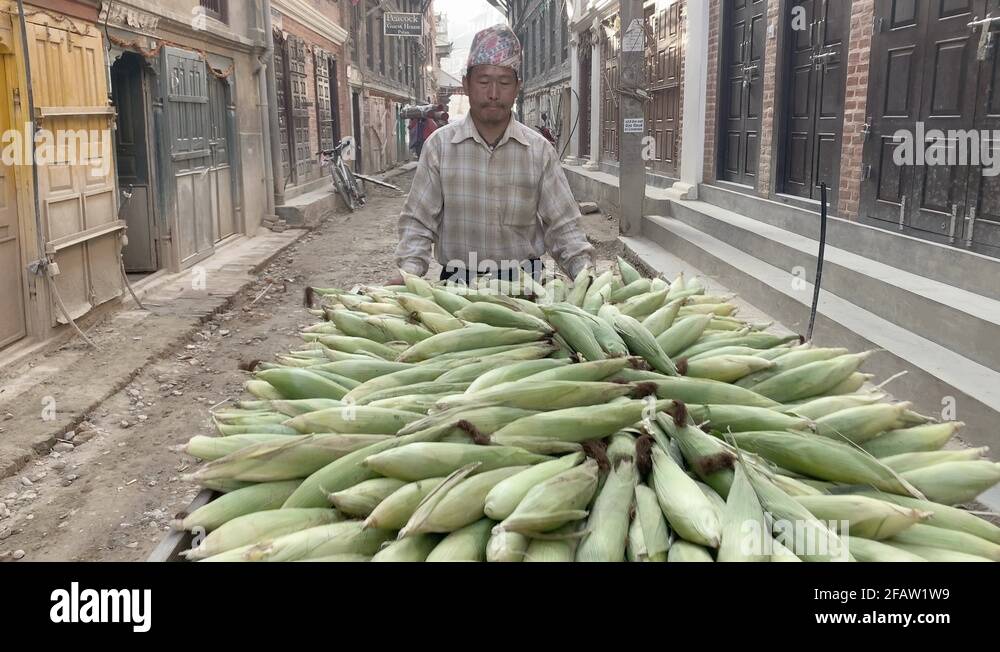 Nepali Man pushing vegitable cart in Patan Lalitpur Kathmandu Nepal ...