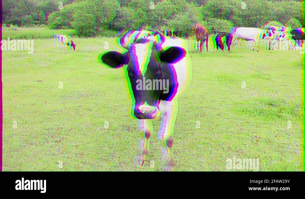 Common error Stock Videos & Footage - HD and 4K Video Clips - Alamy