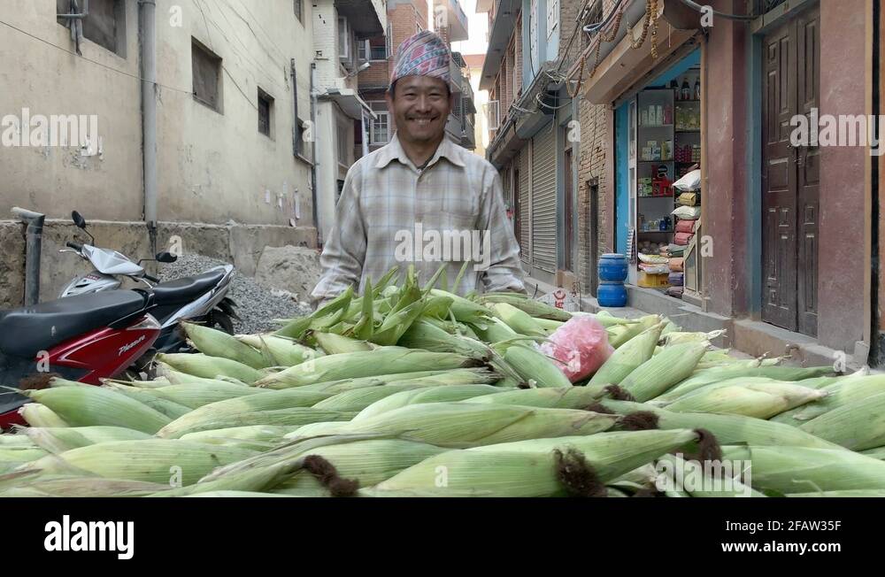 Nepali Man pushing vegitable cart in Patan Lalitpur Kathmandu Nepal ...