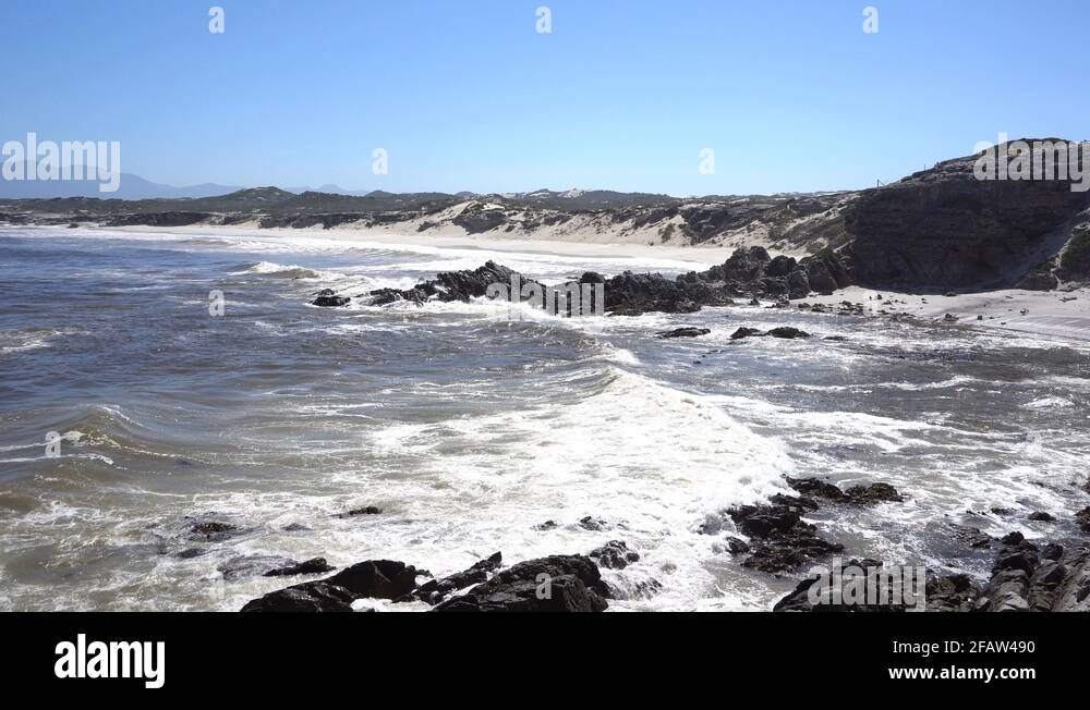 Beach in nature reserve Stock Videos & Footage - HD and 4K Video Clips ...