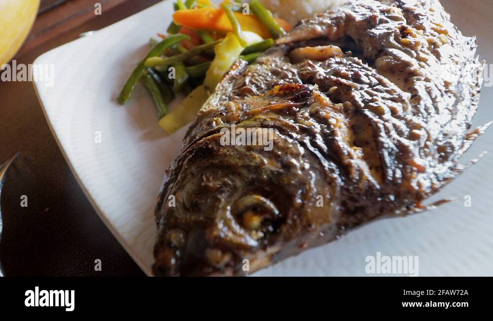 Madagascar fish Stock Videos & Footage - HD and 4K Video Clips - Alamy