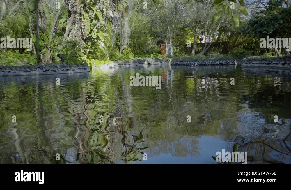Nature Daylight Countryside Park Grass Leave Leaves Brunch Trunk Trees ...