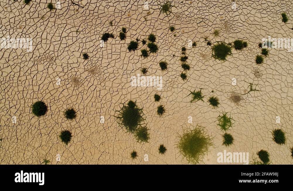 Arid dry parched desert environment Stock Videos & Footage - HD and 4K ...