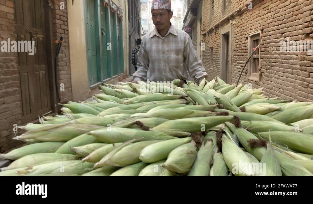 Nepali Man pushing vegitable cart in Patan Lalitpur Kathmandu Nepal ...