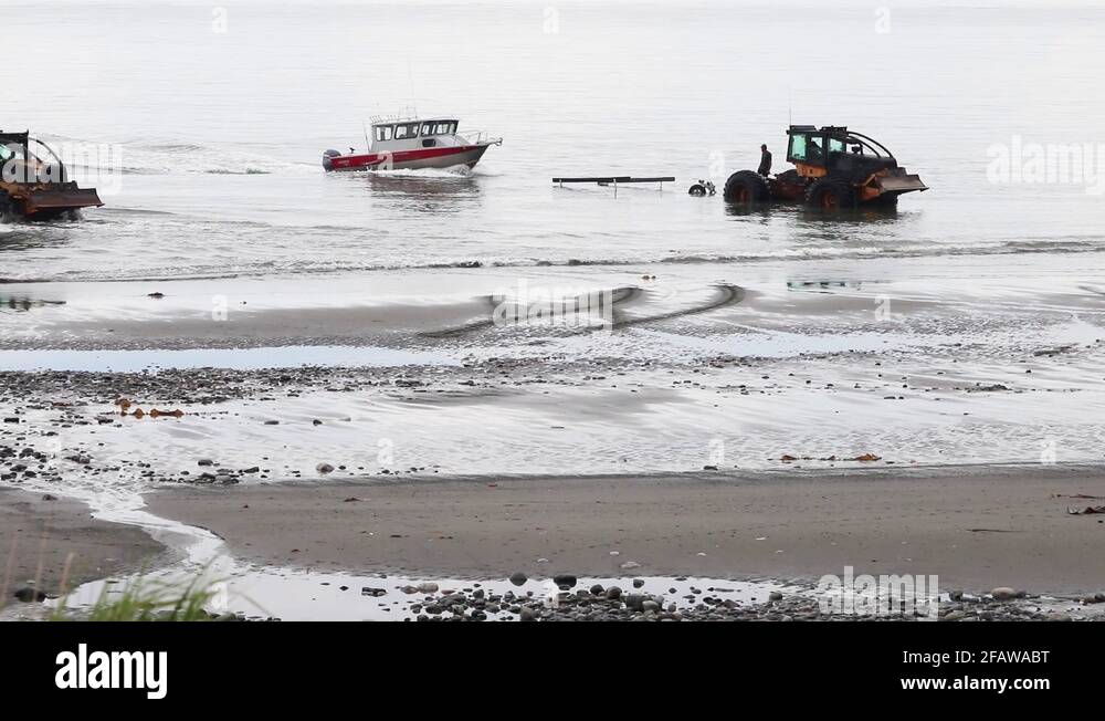 Log skidder Stock Videos & Footage - HD and 4K Video Clips - Alamy