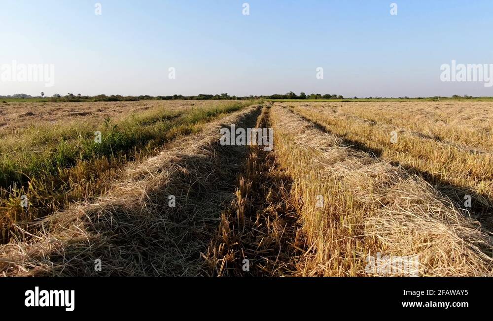 Extreme low aerial Stock Videos & Footage - HD and 4K Video Clips - Alamy