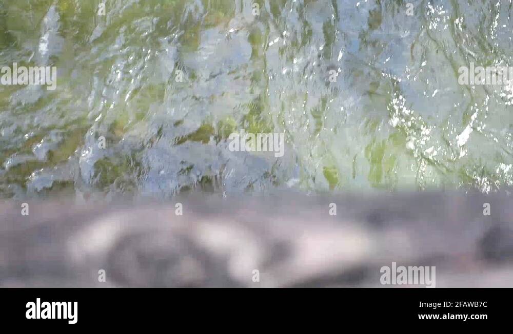 Obstruction of view Stock Videos & Footage - HD and 4K Video Clips - Alamy