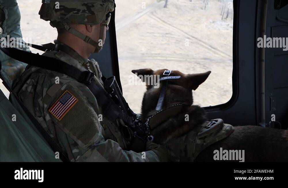 Army policeman Stock Videos & Footage - HD and 4K Video Clips - Alamy