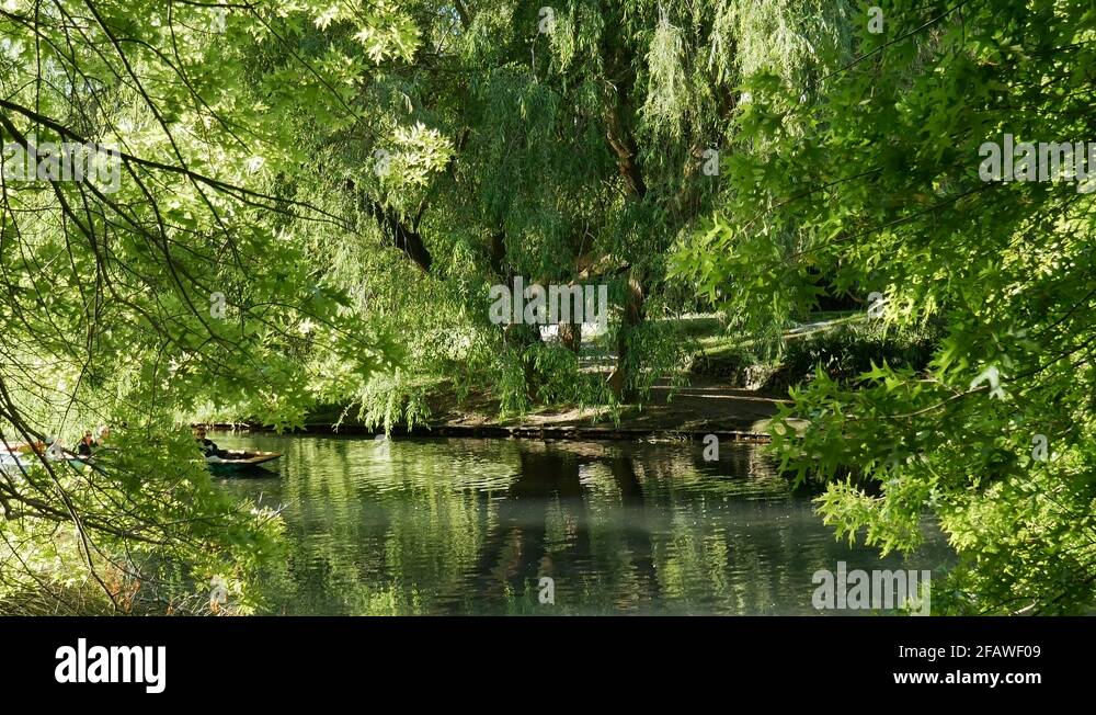 Avon river new zealand Stock Videos & Footage - HD and 4K Video Clips ...