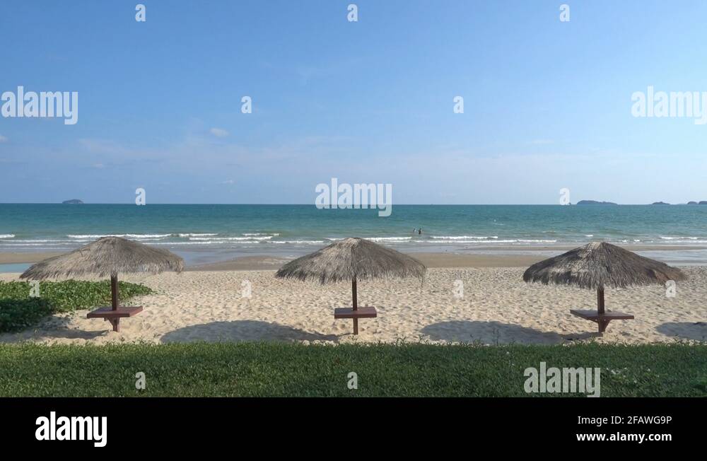 Grass canopy Stock Videos & Footage - HD and 4K Video Clips - Alamy