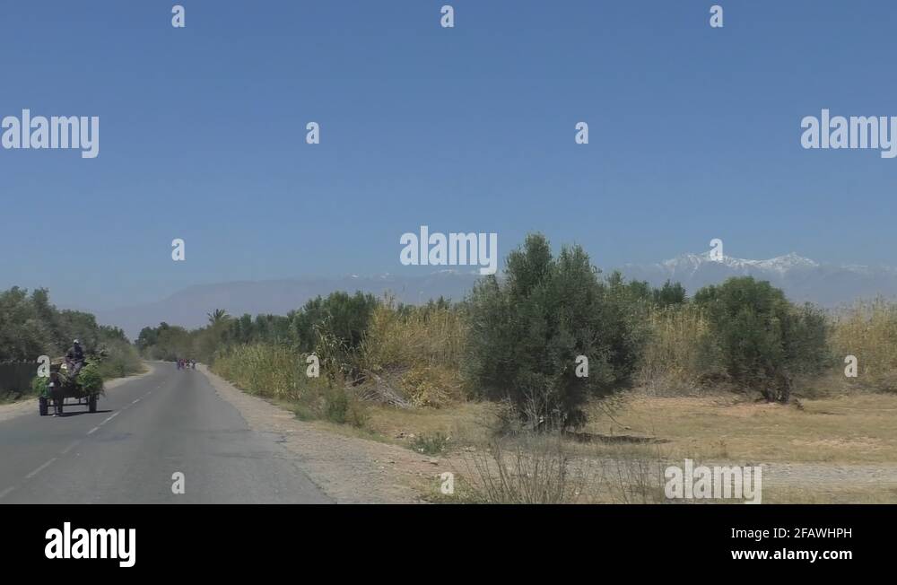 Donkey bicycles Stock Videos & Footage - HD and 4K Video Clips - Alamy