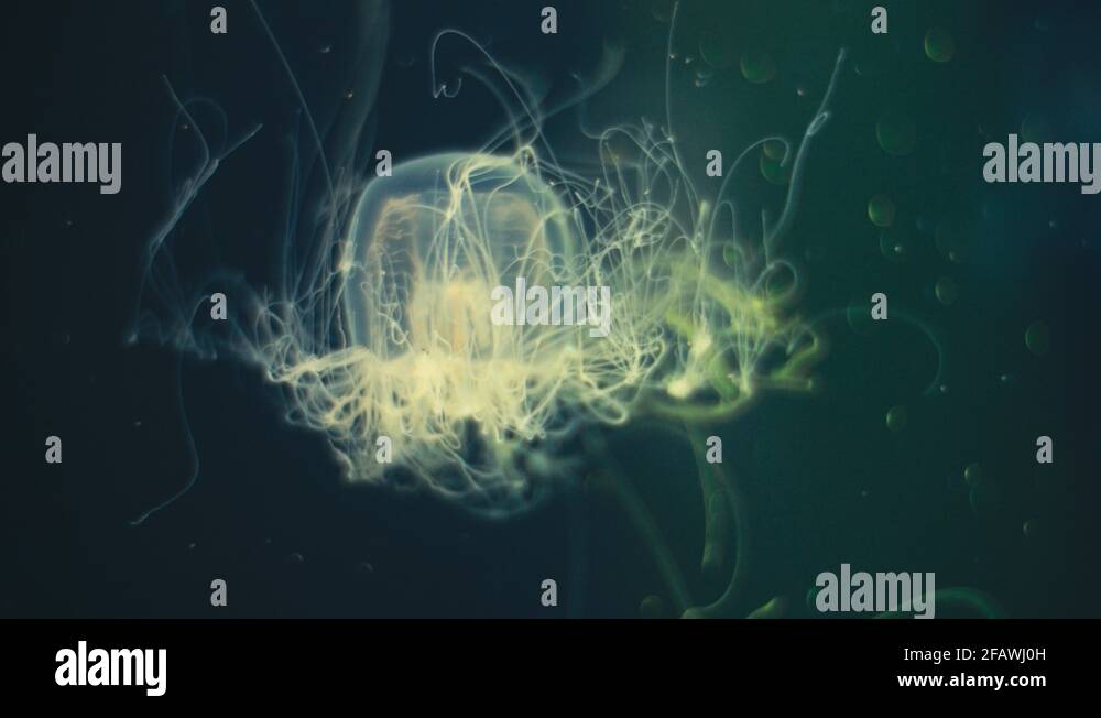 Luminous colour Stock Videos & Footage - HD and 4K Video Clips - Alamy