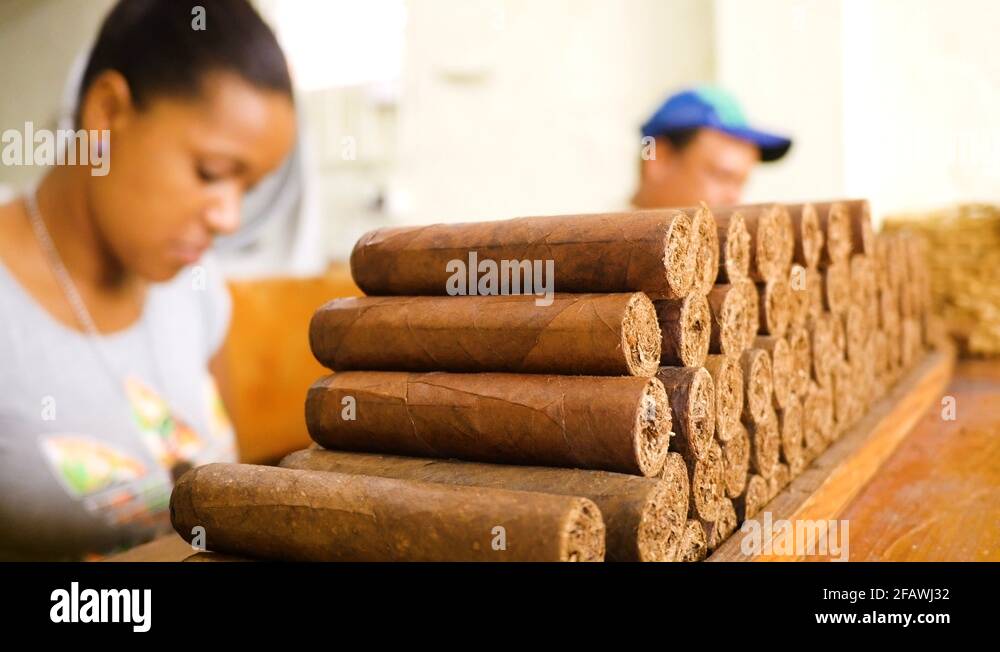 Cigar process Stock Videos & Footage - HD and 4K Video Clips - Alamy